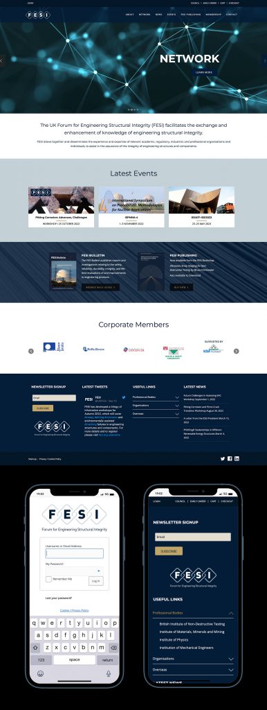 FESI Website - Electric Heart Designers